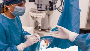 Oculoplasty: The Ultimate Guide to Eye Plastic Surgery - Laxmi Eye Hospital