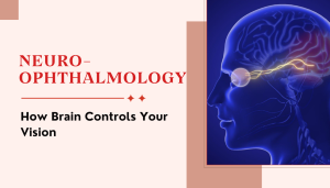 Neuro-Ophthalmology Explained: How Brain Controls Your Vision - Laxmi ...